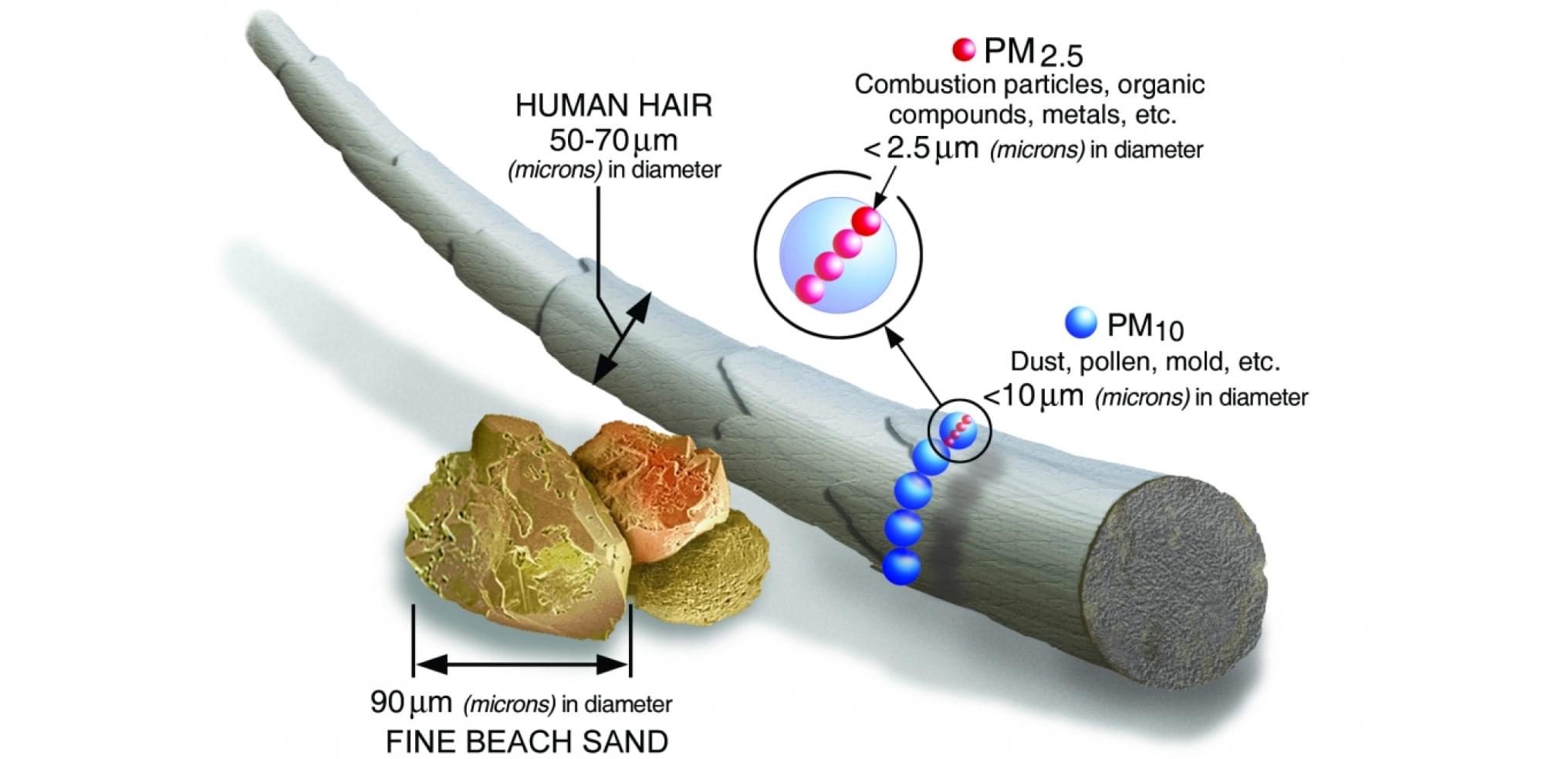 Face Fit Testing Solutions - SES Training Solutions